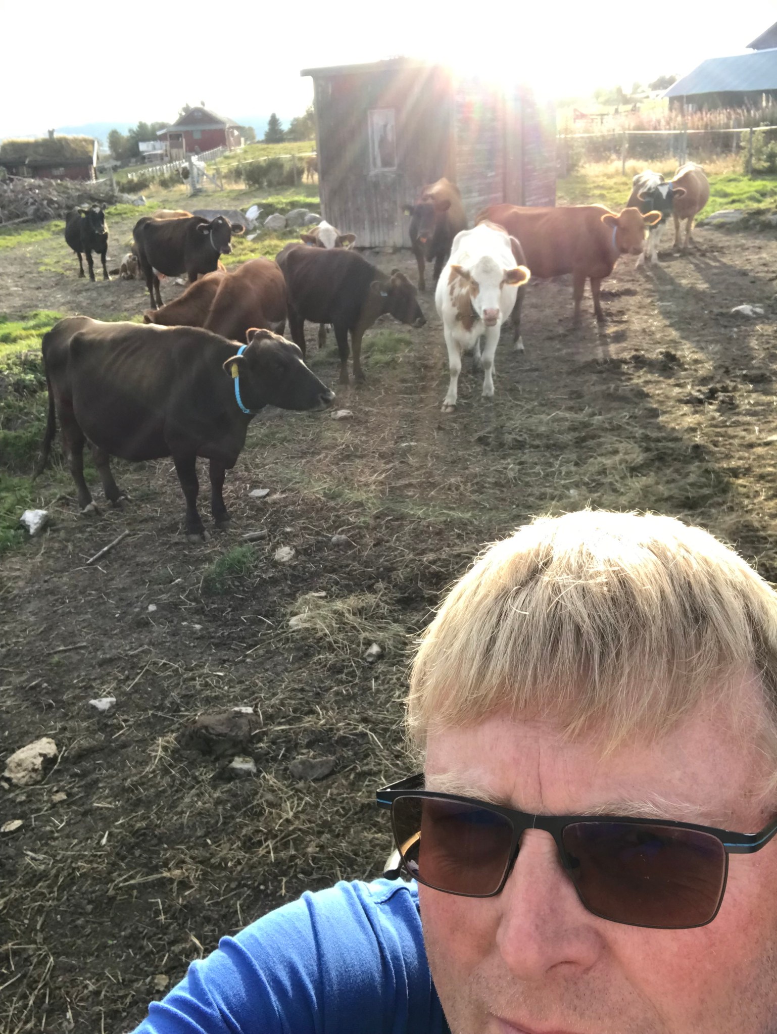 Innsendte bilder november 2021 – Dølafelaget